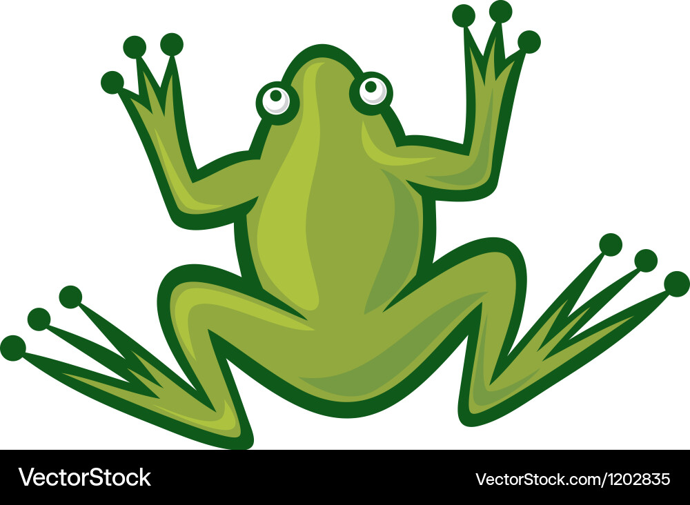 Frog Royalty Free Vector Image - VectorStock