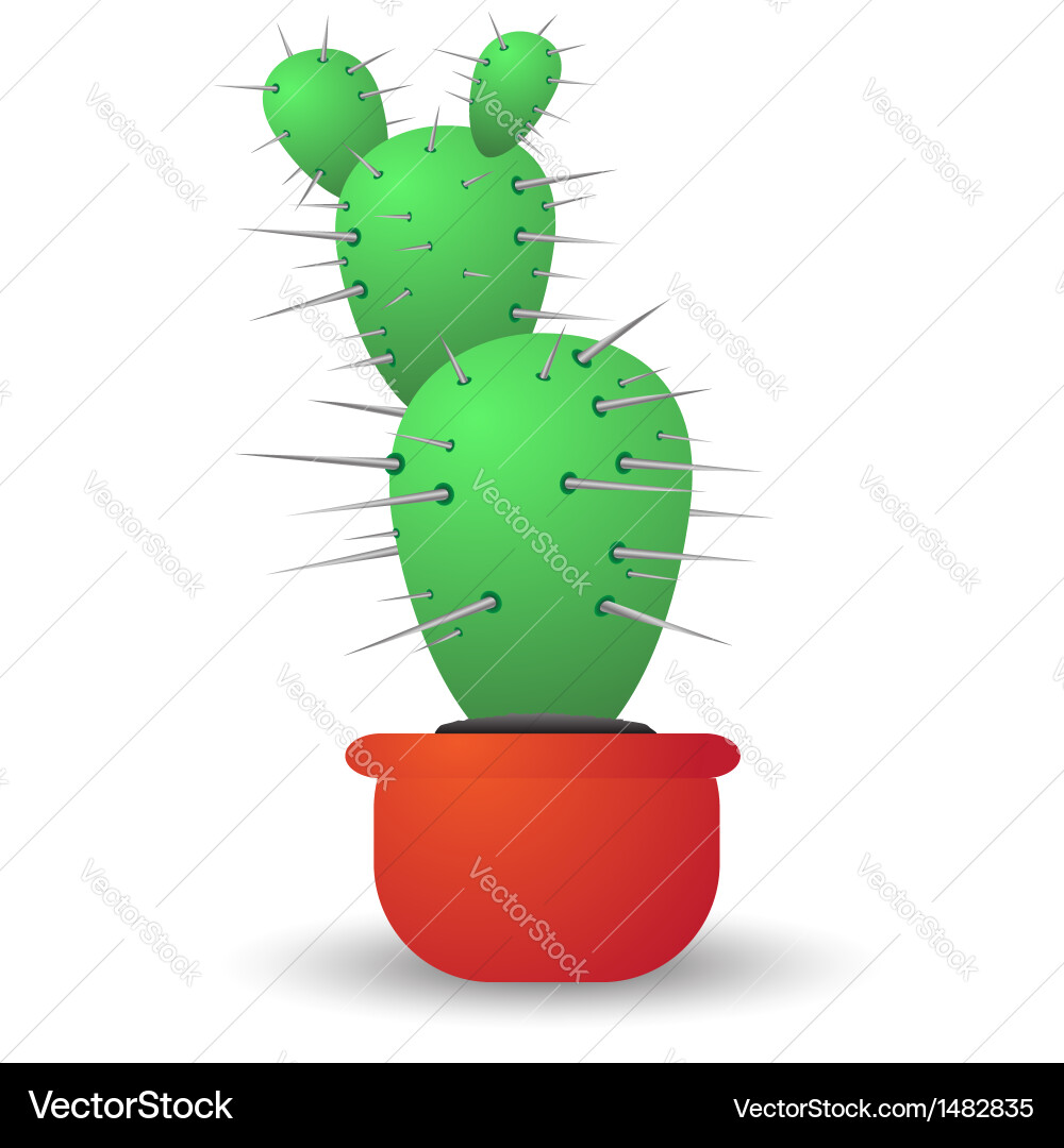 Kaktus Lizenzfreies Vektorbild - VectorStock