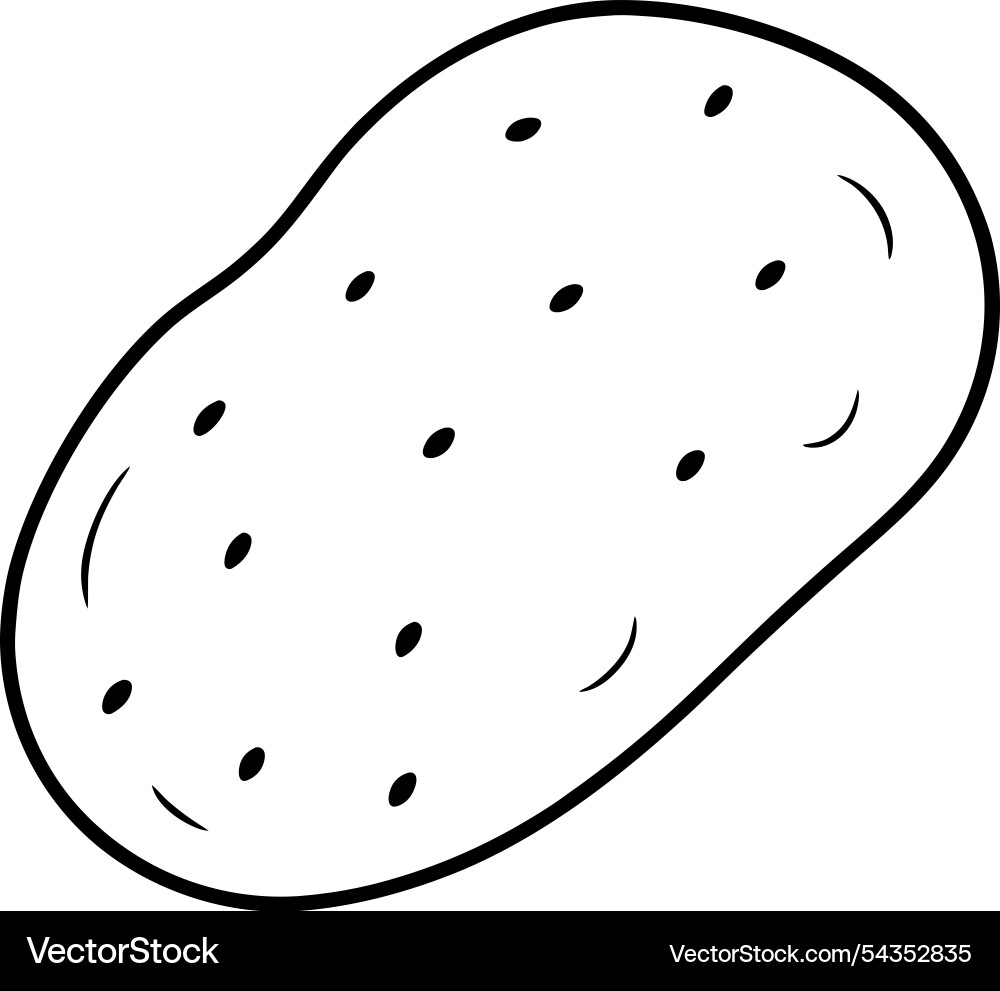Potato Royalty Free Vector Image - VectorStock