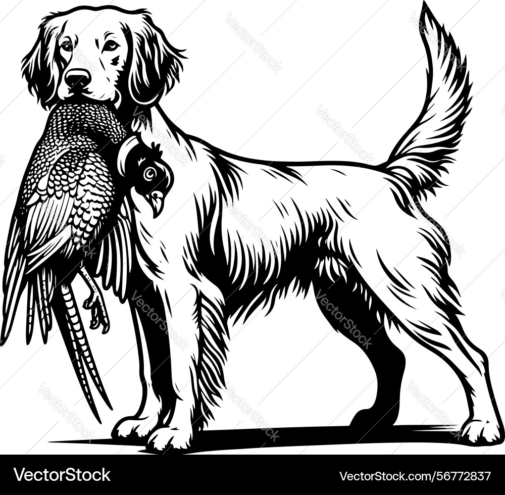 Ai-generated minimalist line-art hunting brittany Vector Image