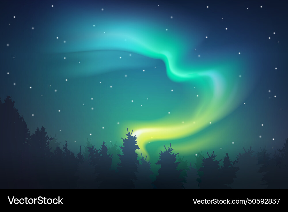 Aurora realistic night background Royalty Free Vector Image