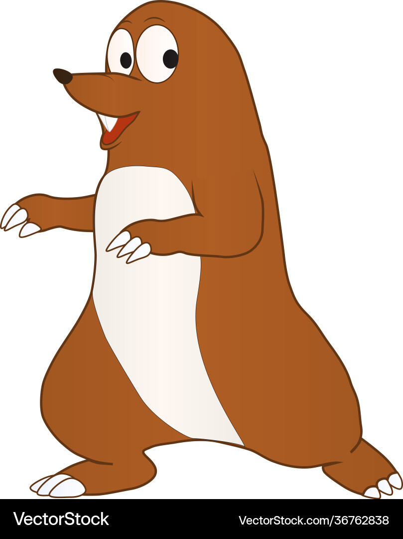 Cartoon a friendly mole Royalty Free Vector Image
