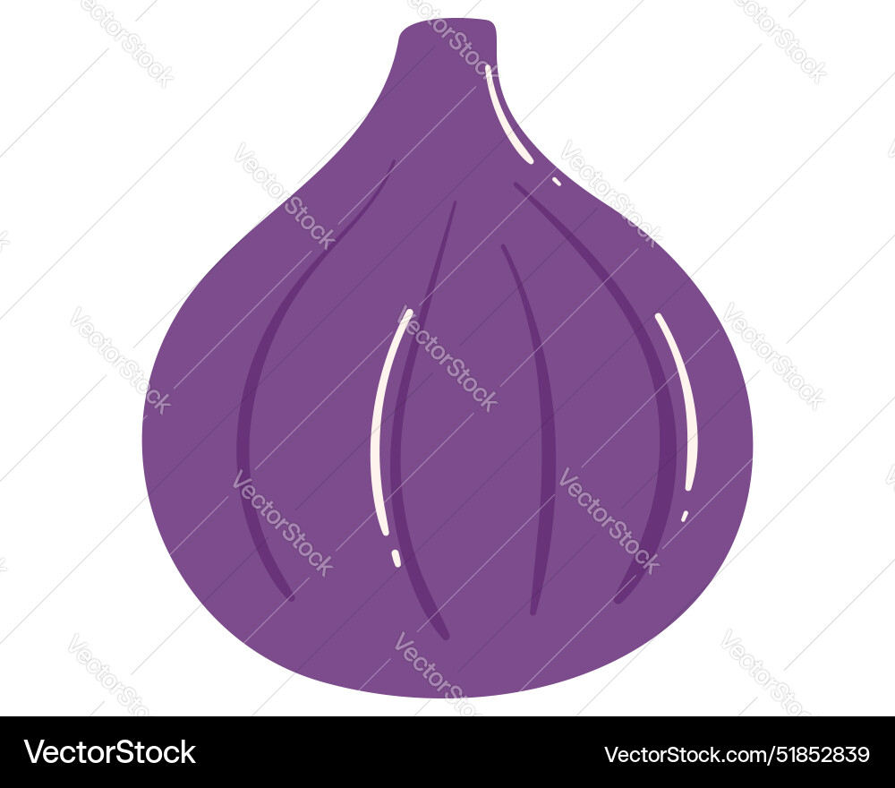 Fruit fig in cartoon hand drawn simple style Vector Image