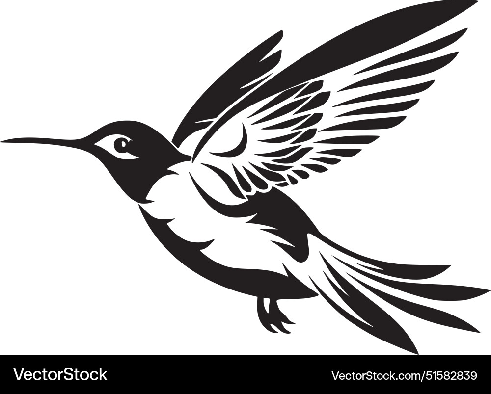 Hummingbird - black and white Royalty Free Vector Image