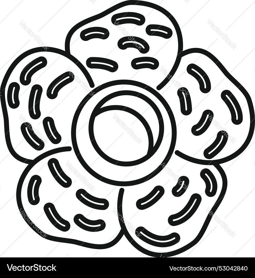 Rafflesia arnoldii flower drawing showing five Vector Image