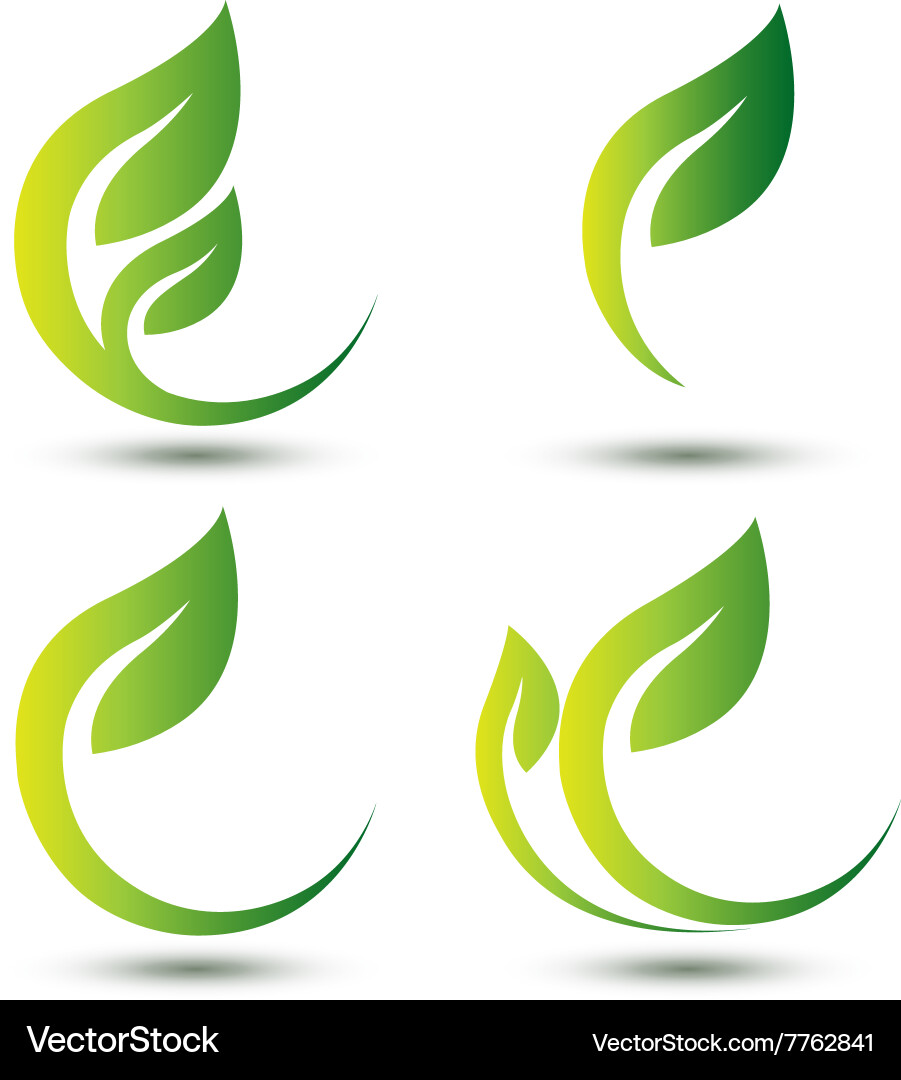 Green leaf Royalty Free Vector Image - VectorStock