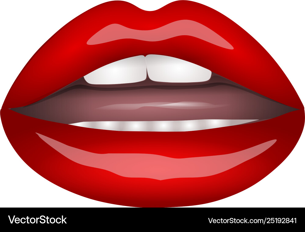 Red sexy female lips Royalty Free Vector Image