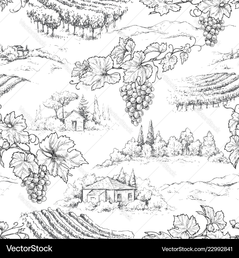 Vineyard pattern Vector Images & Graphics for Commercial Use | VectorStock