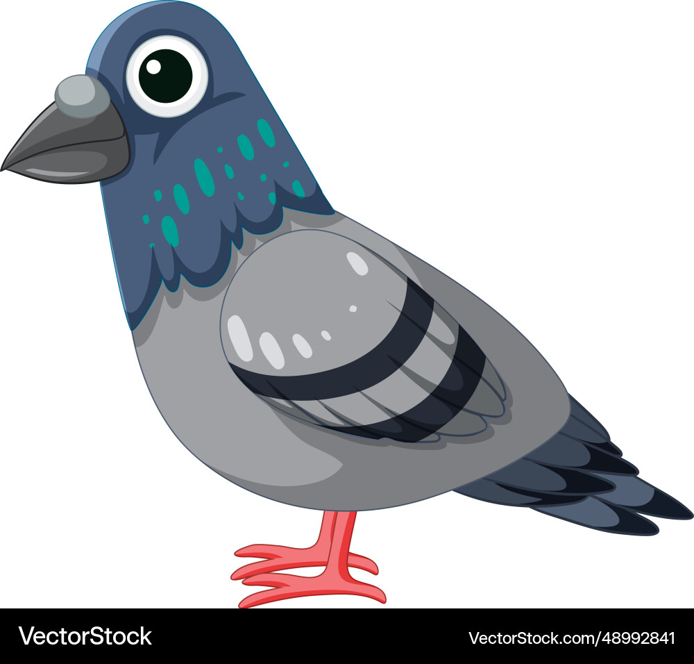 Süße Taube Vogel Cartoon Charakter stehen Vektorbild