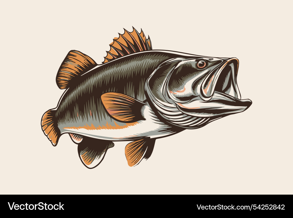 Bass fish clipart design template Royalty Free Vector Image