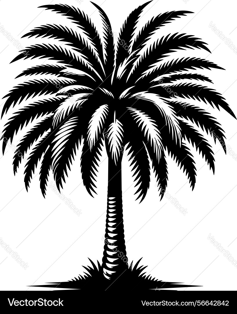 X-default royal palm tree symbol Royalty Free Vector Image
