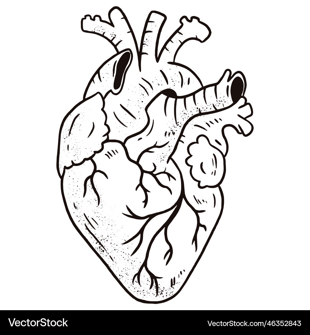 Awesome Drawings Of Real Hearts