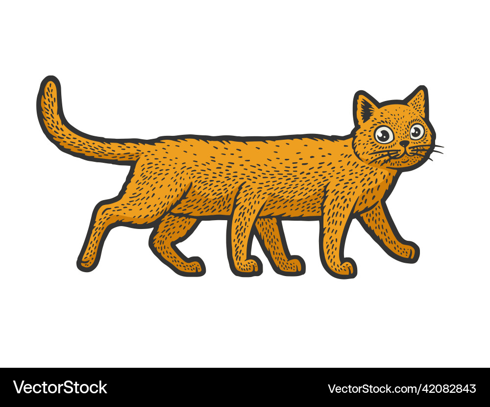 Six legged cat color sketch Royalty Free Vector Image