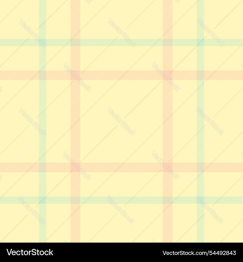 Traditional pattern check ethnic fabric Royalty Free Vector