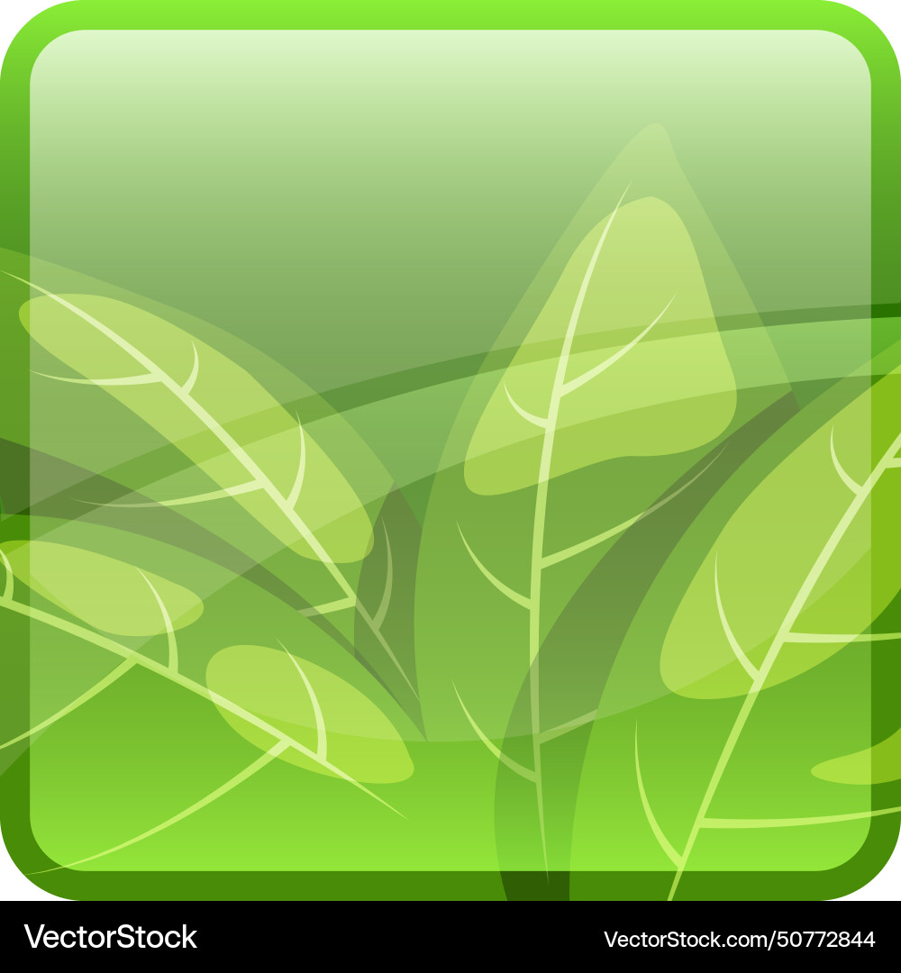 Green leaves button template blank square element Vector Image