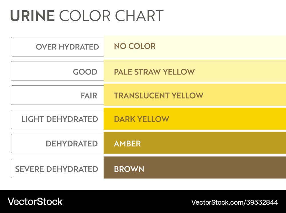 Urine color chart Royalty Free Vector Image - VectorStock