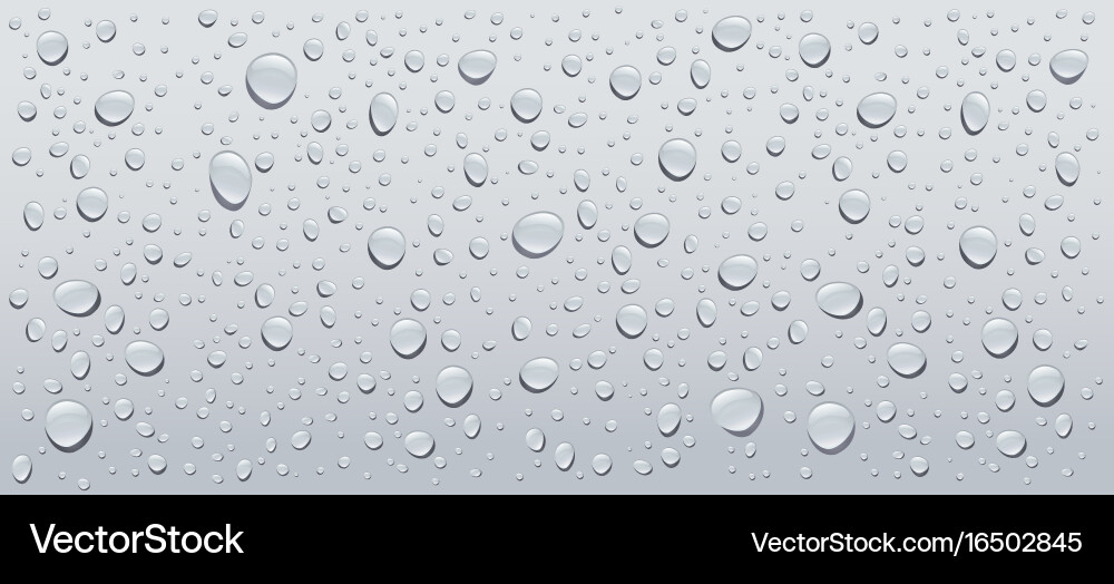 Gray water droplets background Royalty Free Vector Image