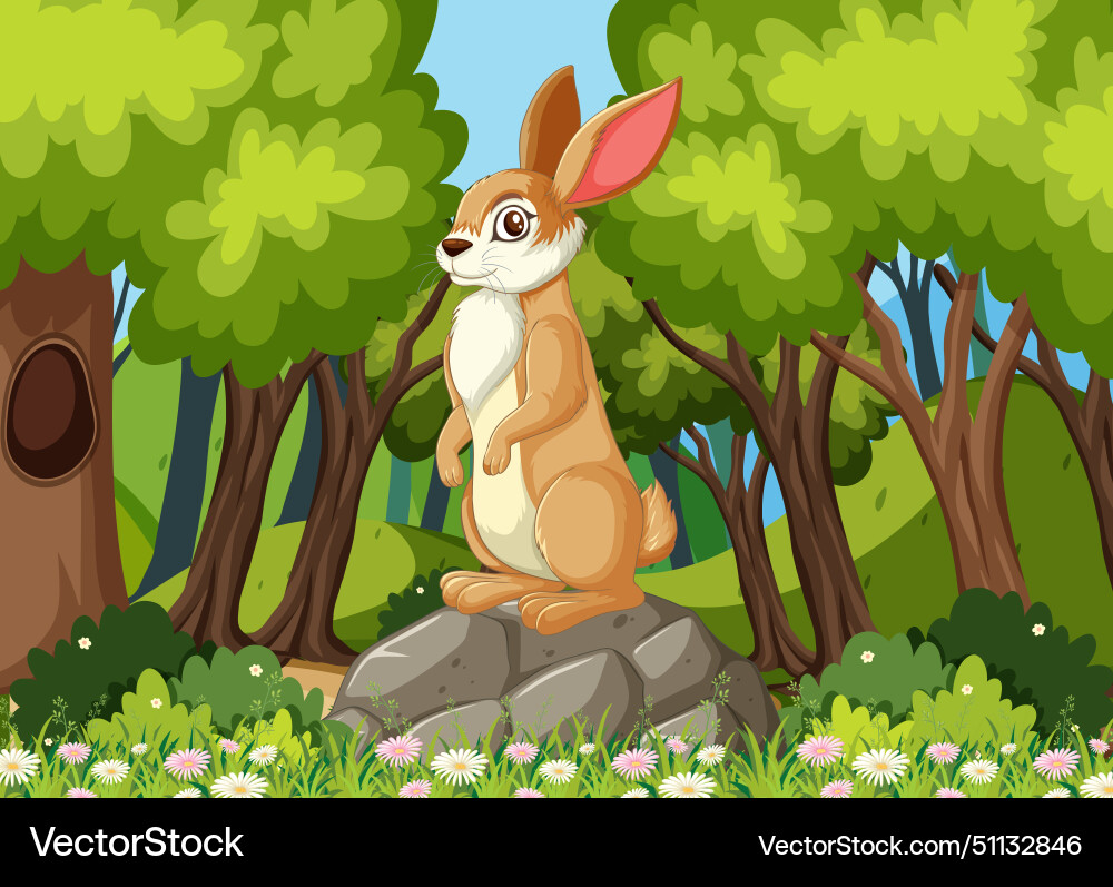 A cute rabbit standing on rocks in the woods Vector Image