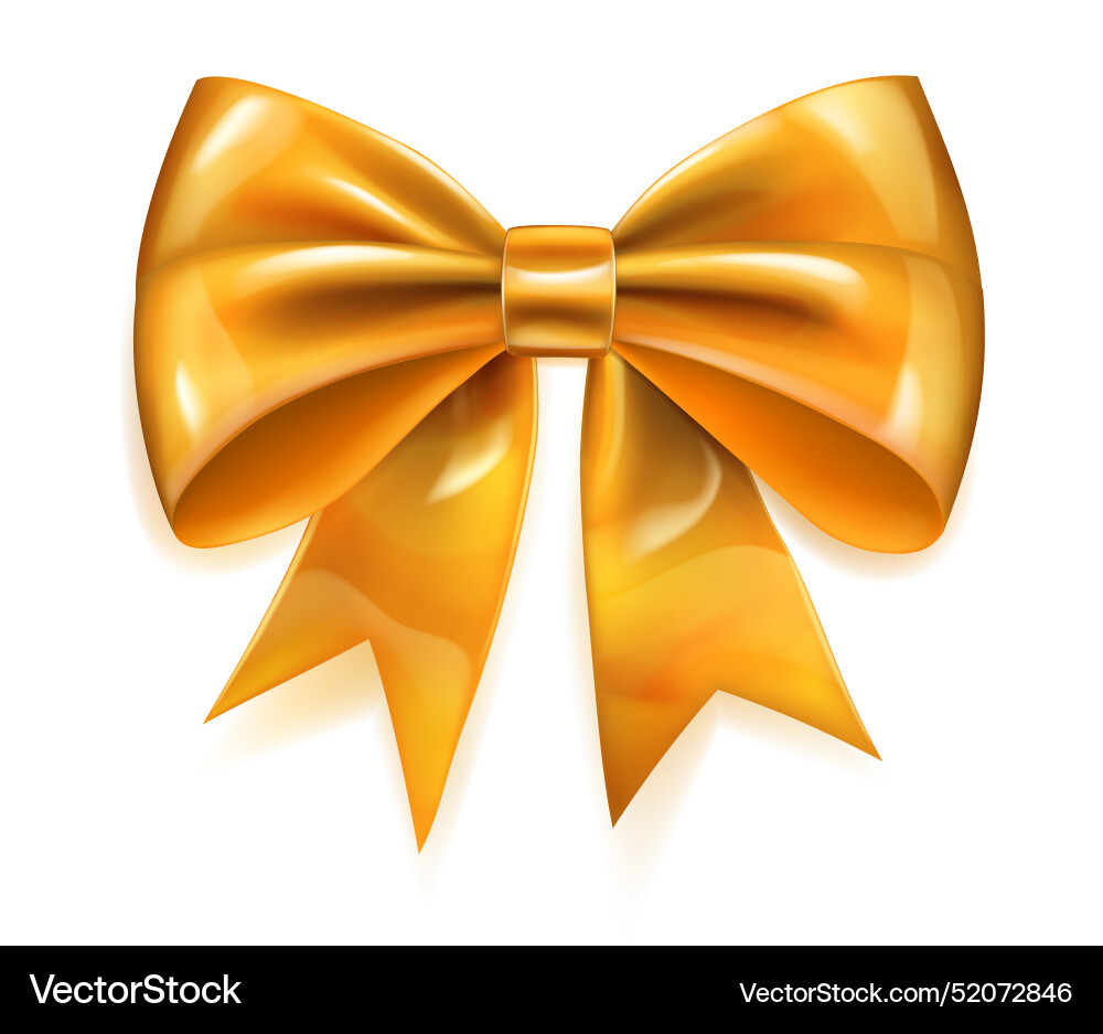 Beautiful shiny bow Royalty Free Vector Image - VectorStock