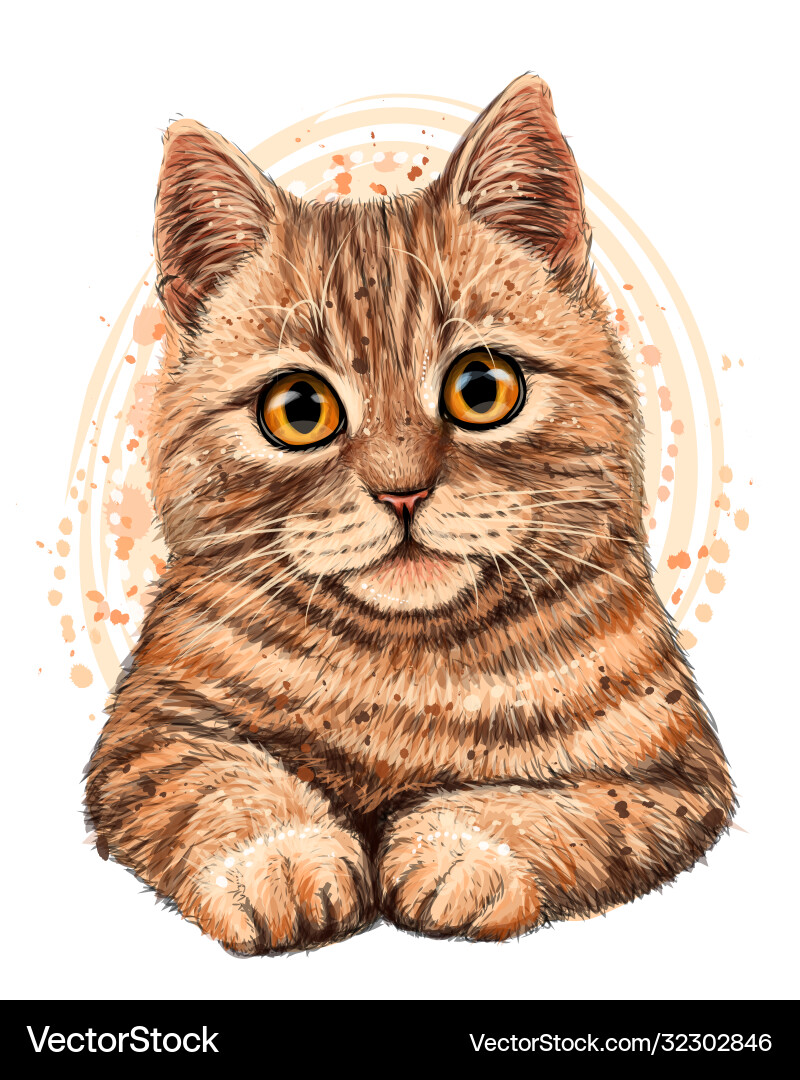 Cat color graphic artistic drawing Royalty Free Vector Image