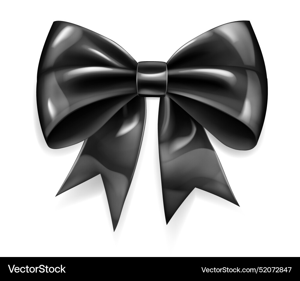 Beautiful shiny bow Royalty Free Vector Image - VectorStock