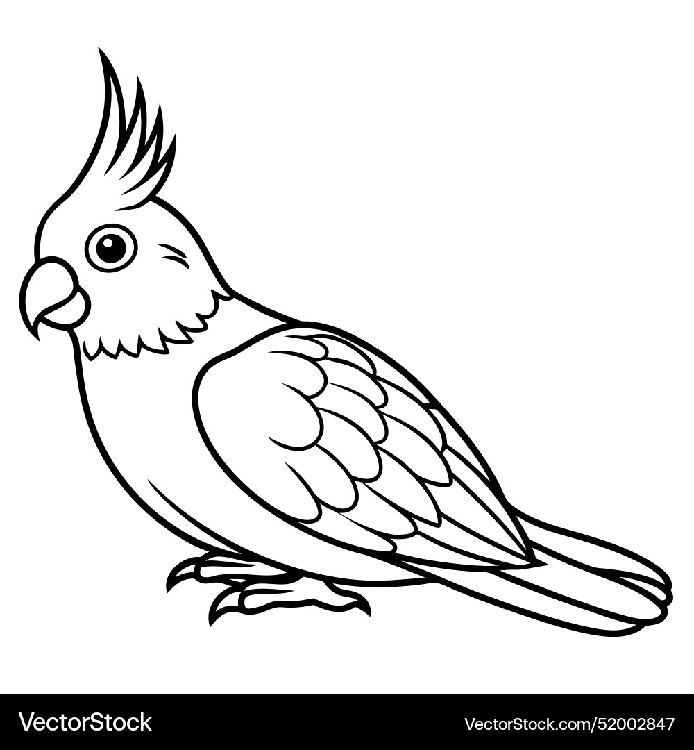 Cockatiel bird lies icon Royalty Free Vector Image