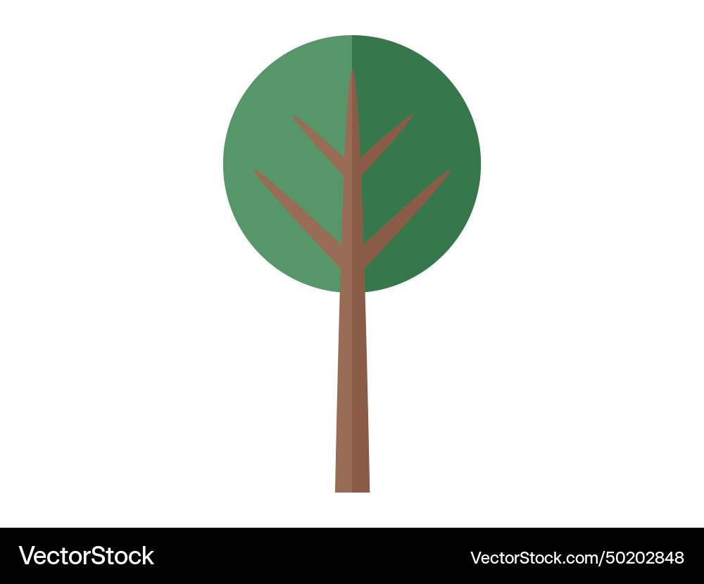 Tree botany is scientific study plants including Vector Image