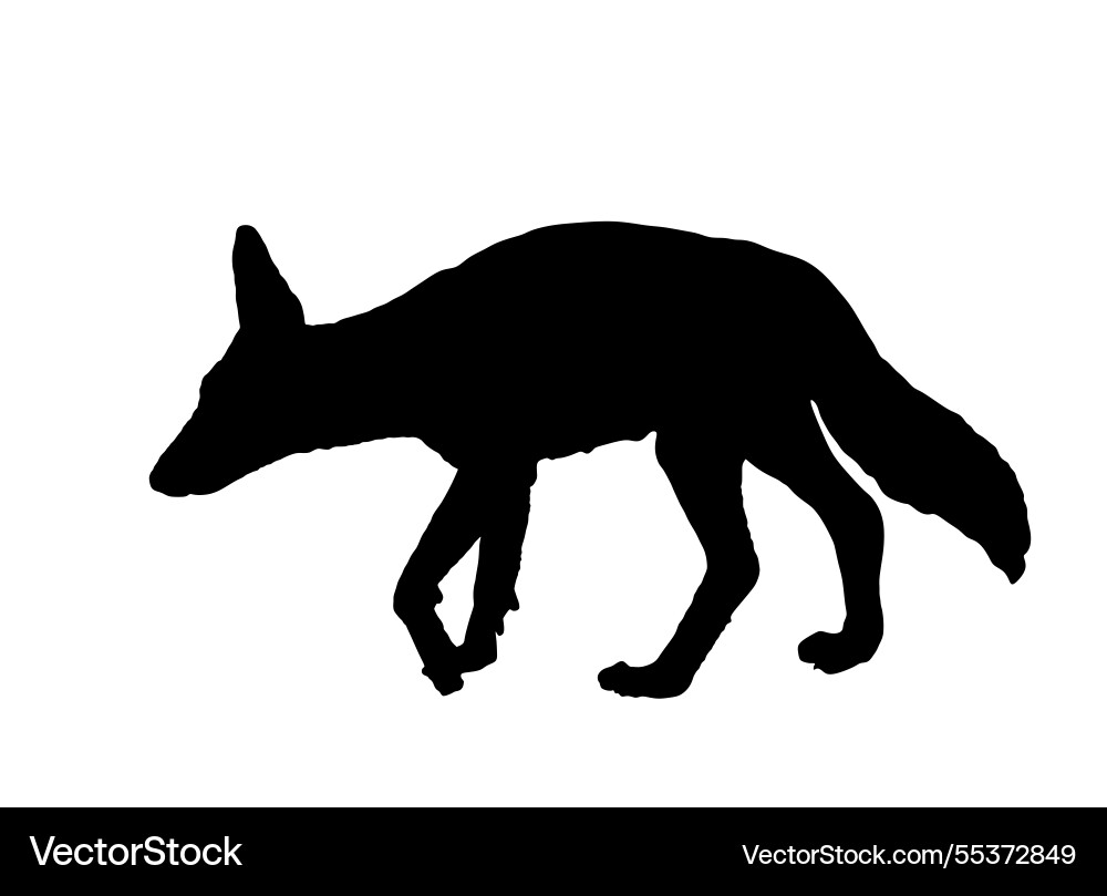 Jackal silhouette isolated Royalty Free Vector Image