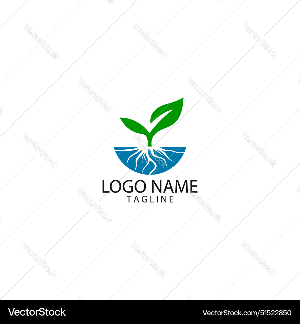 Root tree logo design Royalty Free Vector Image