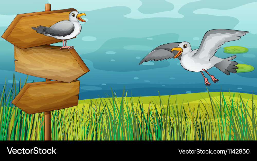 Two chirping birds Royalty Free Vector Image - VectorStock