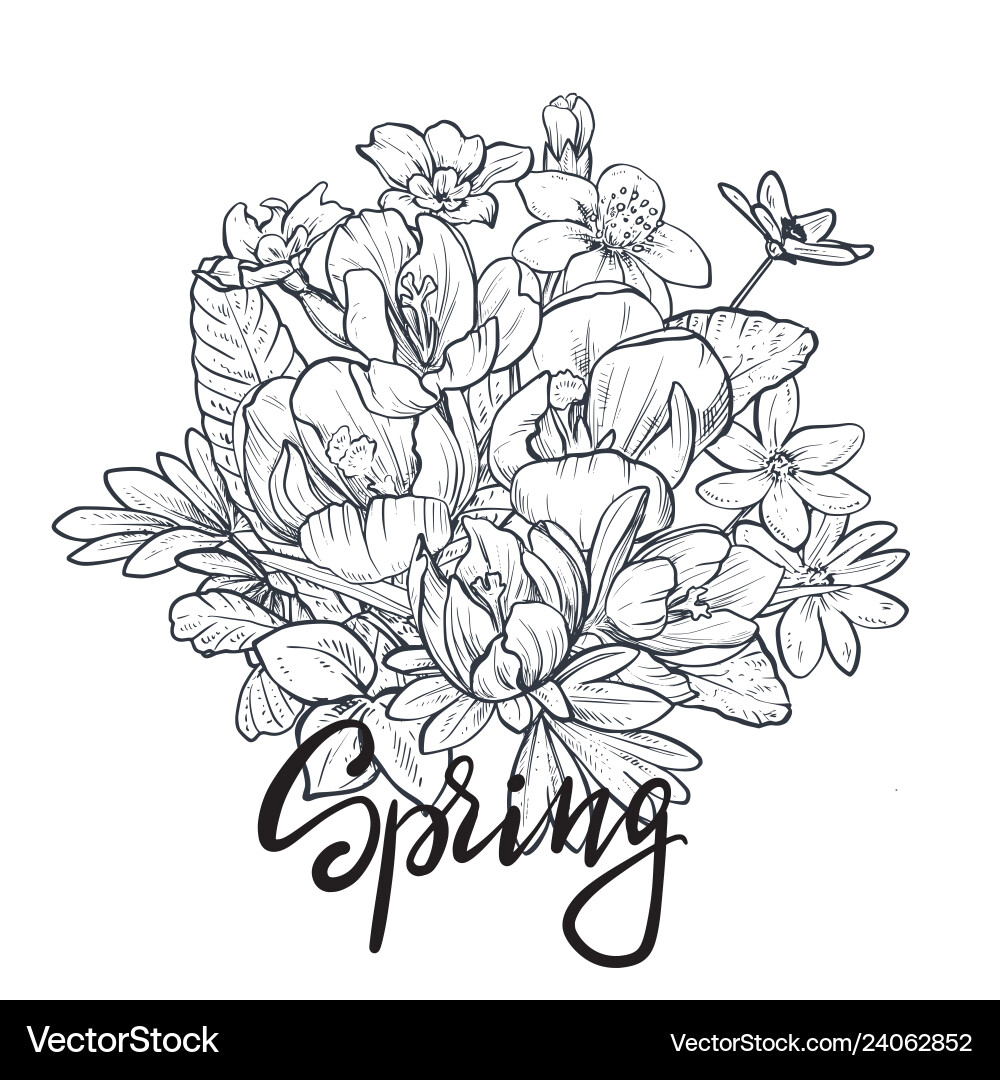 Spring text hand lettering with drawn flower Vector Image