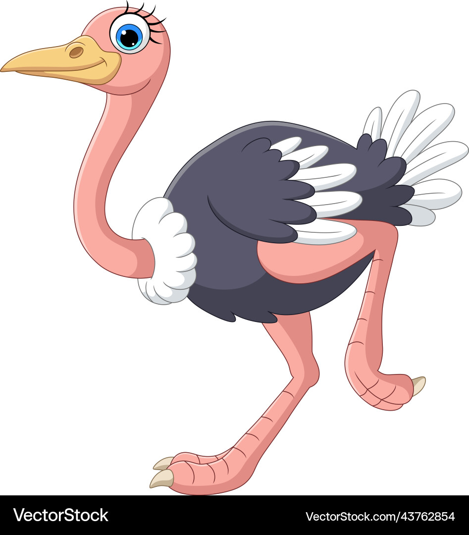 Cartoon ostrich running on white background Vector Image