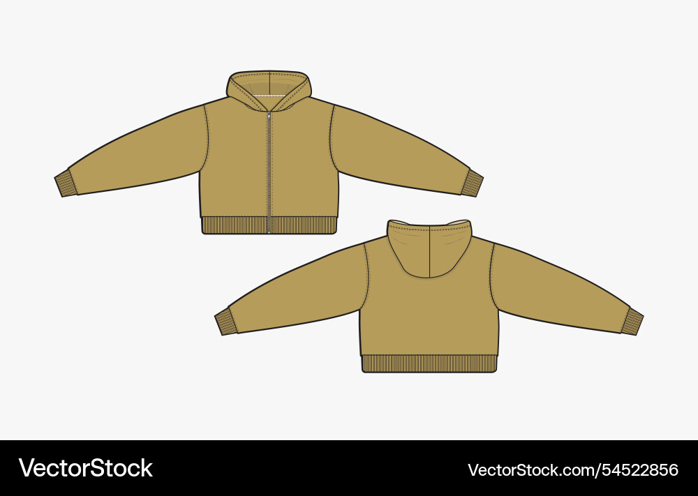 Midriff sketch template Royalty Free Vector Image