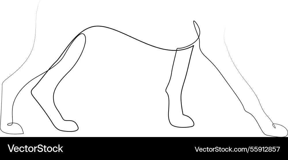 Continuous one line drawing of dog walking side Vector Image
