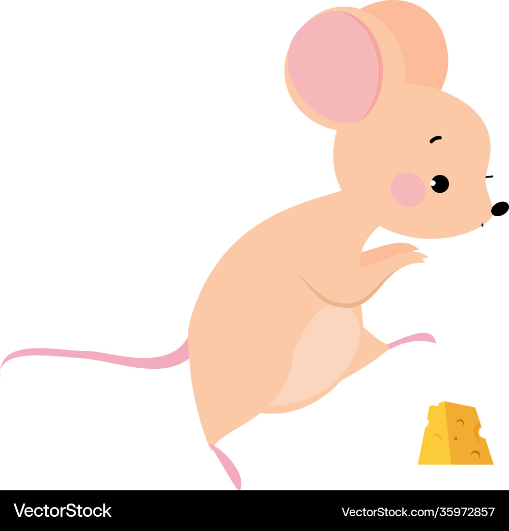 Cute mouse with pointed snout and rounded ears Vector Image