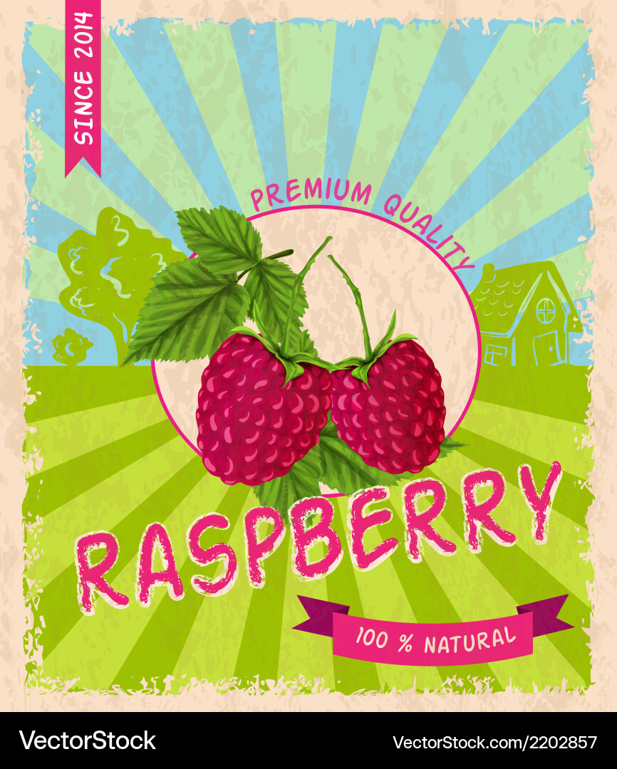 Retro Raspberry Poster Royalty Free Vector Image