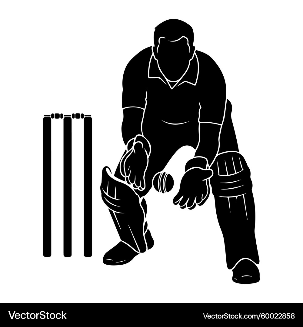 Cricket Wicketkeeper Catching Ball – Royalty-Free Vector | VectorStock