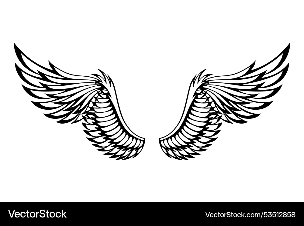 Wings sketch stylized birds hand drawn Royalty Free Vector