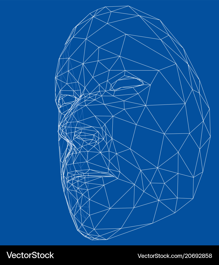 Wireframe Human Face Recognition Royalty Free Vector Image