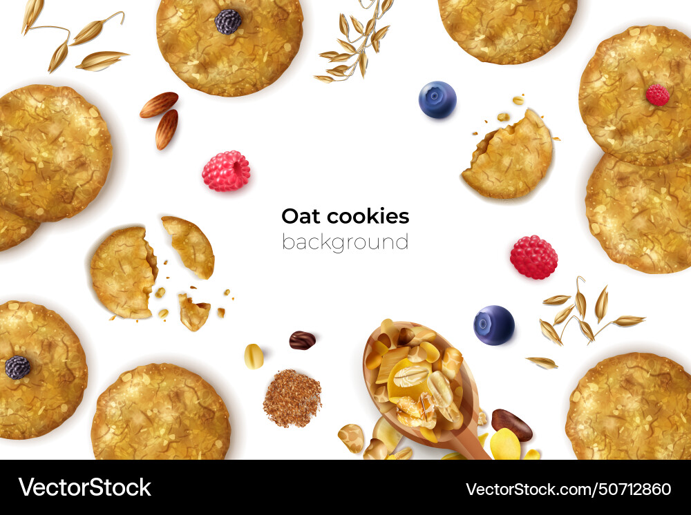 Berry oat cookies background Royalty Free Vector Image