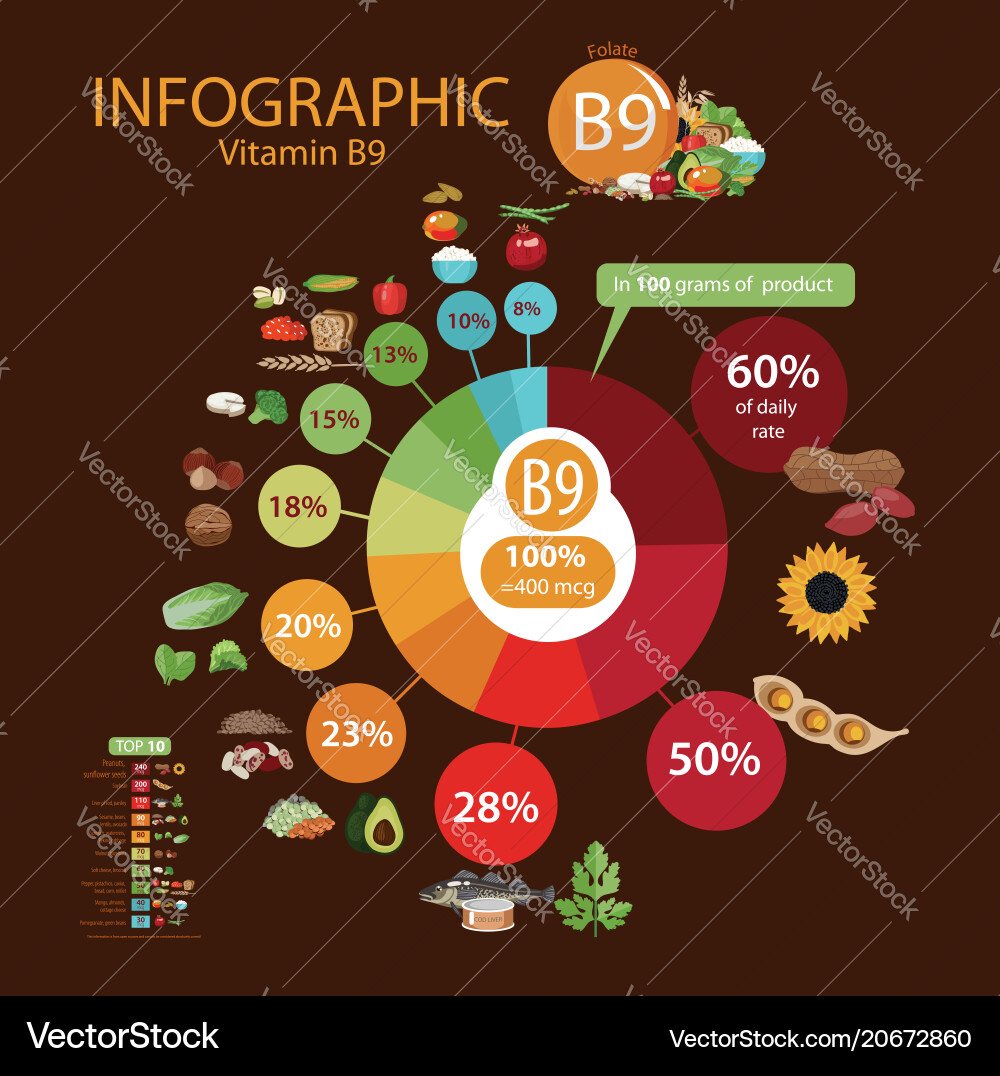 Folate: Vitamin B9 Rich Foods Royalty Free Vector Image