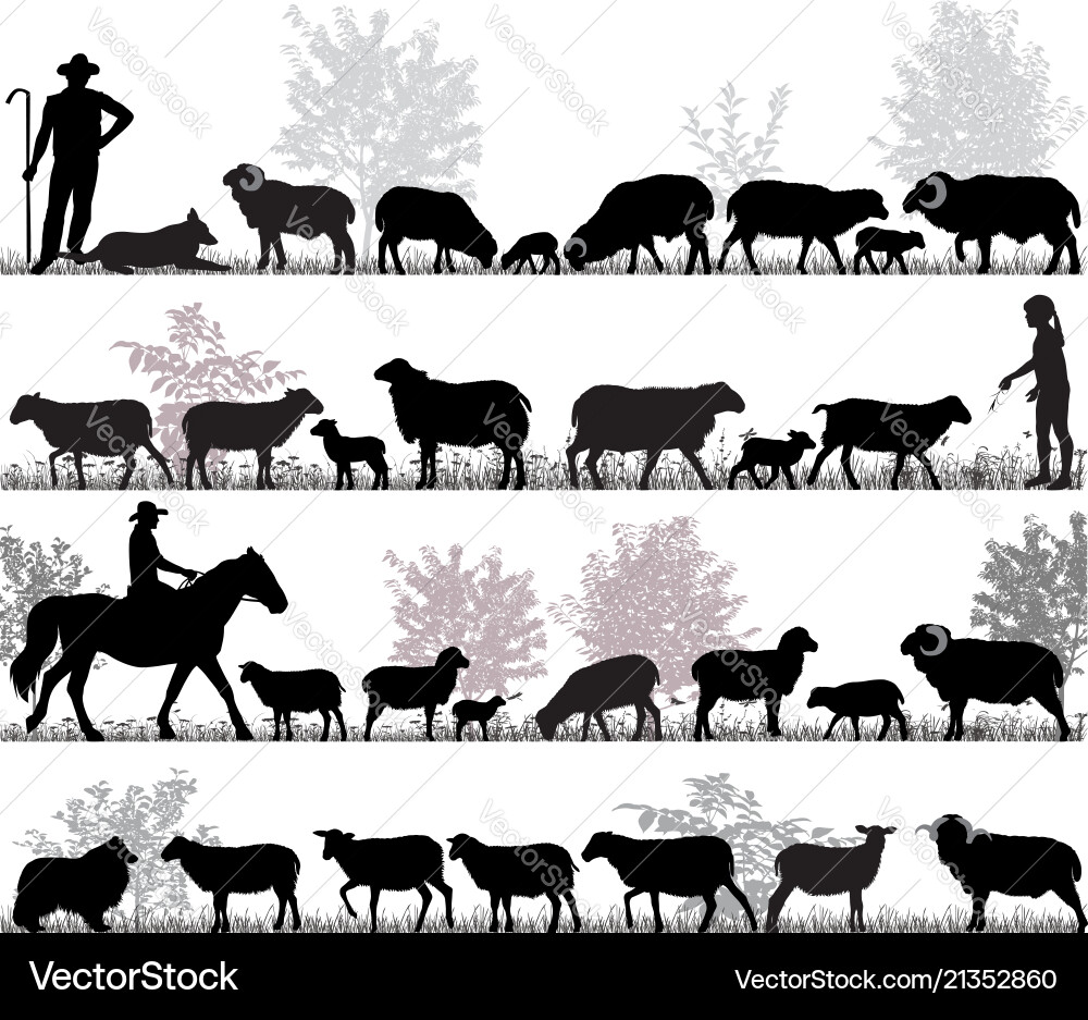 Herd of sheep Royalty Free Vector Image - VectorStock