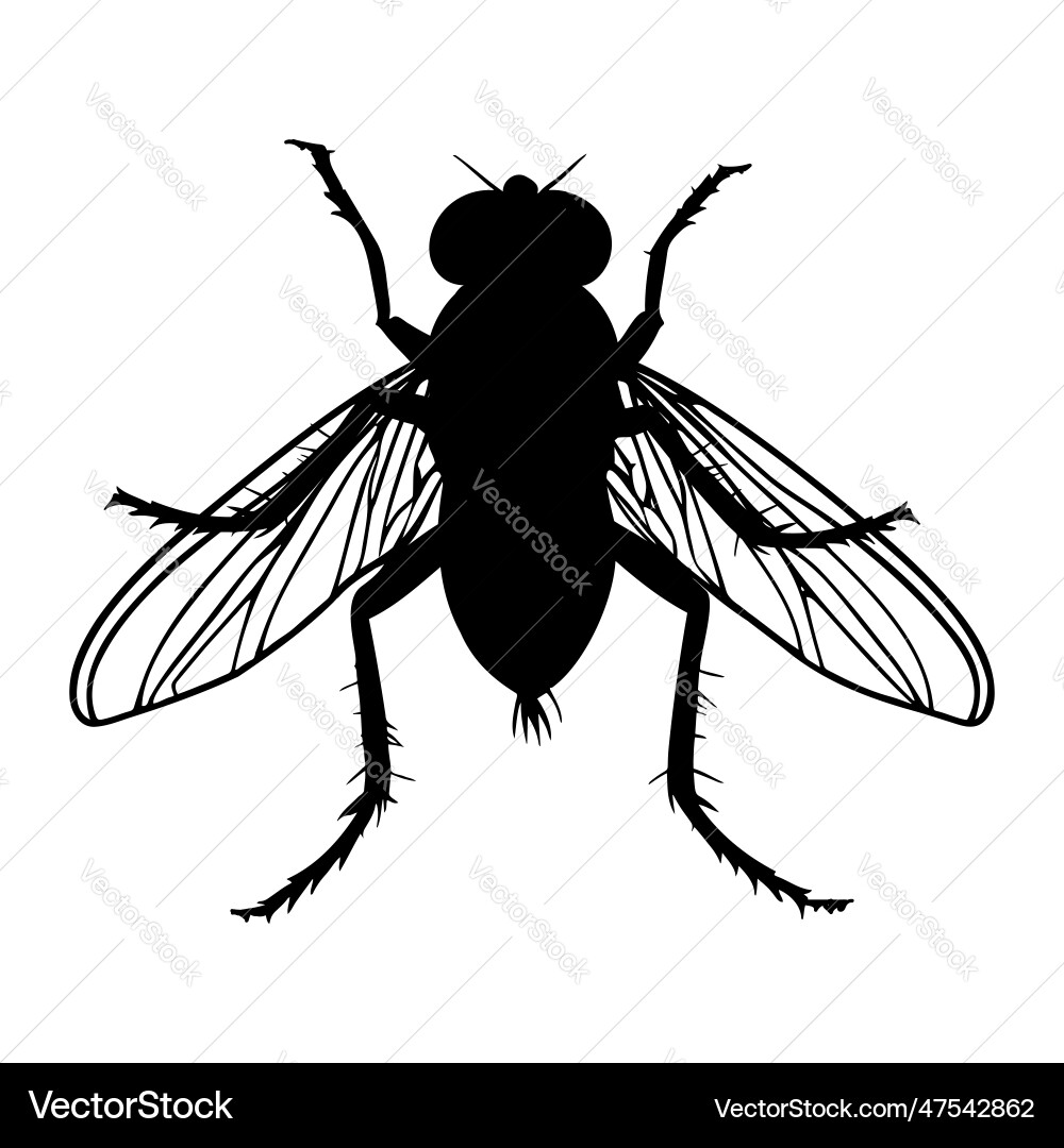 Fly silhouette isolated on white background icon Vector Image