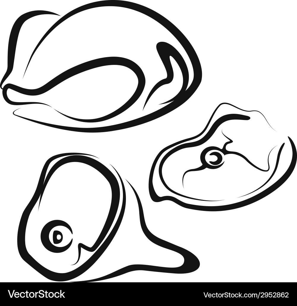 Meat Royalty Free Vector Image - VectorStock