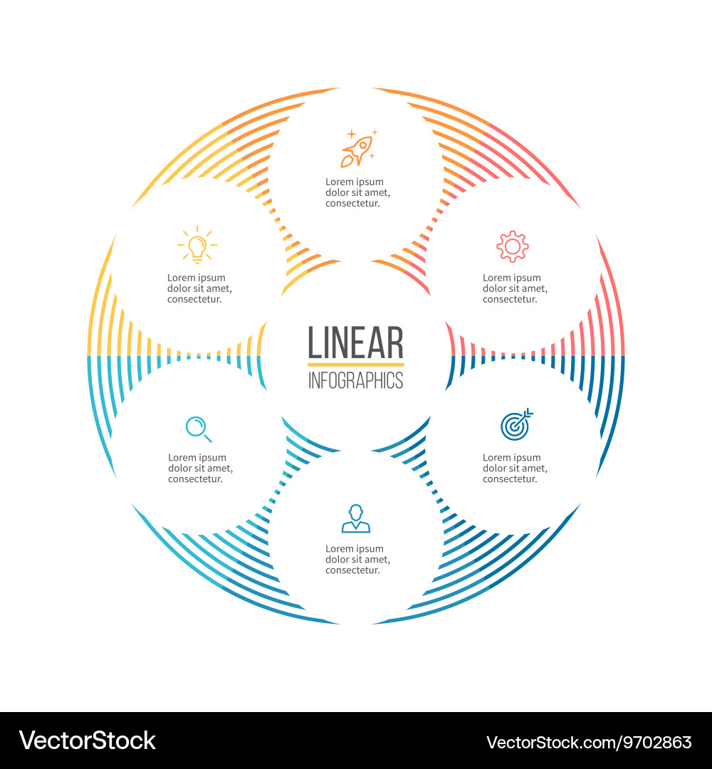 Linear infographic minimalistic chart diagram Vector Image