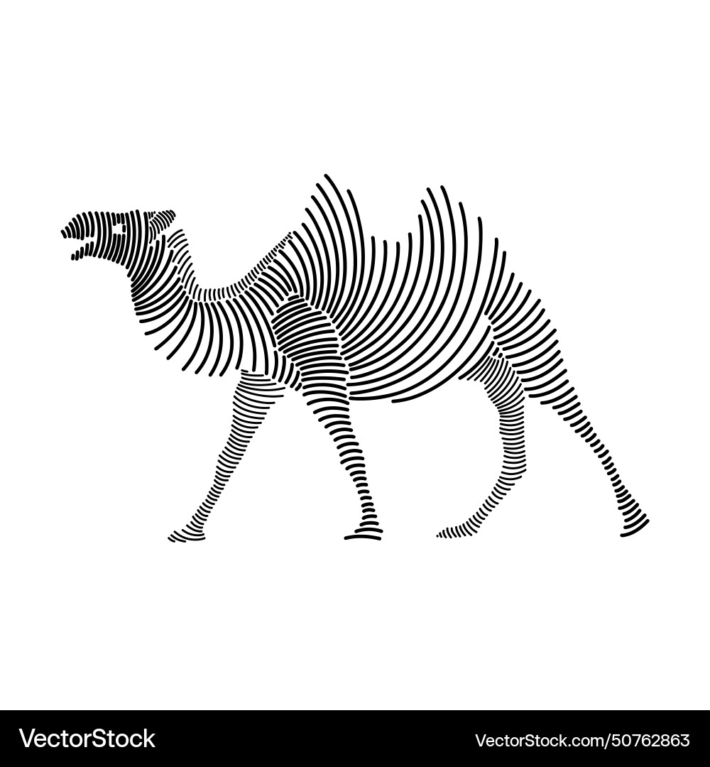 Simple line art of a camel 1 Royalty Free Vector Image