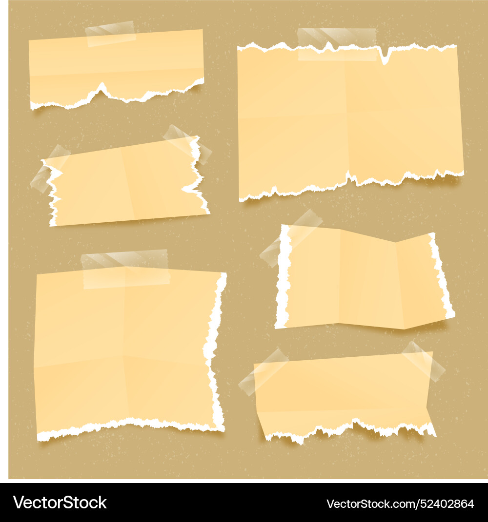 Collection of realistic torn paper Royalty Free Vector Image
