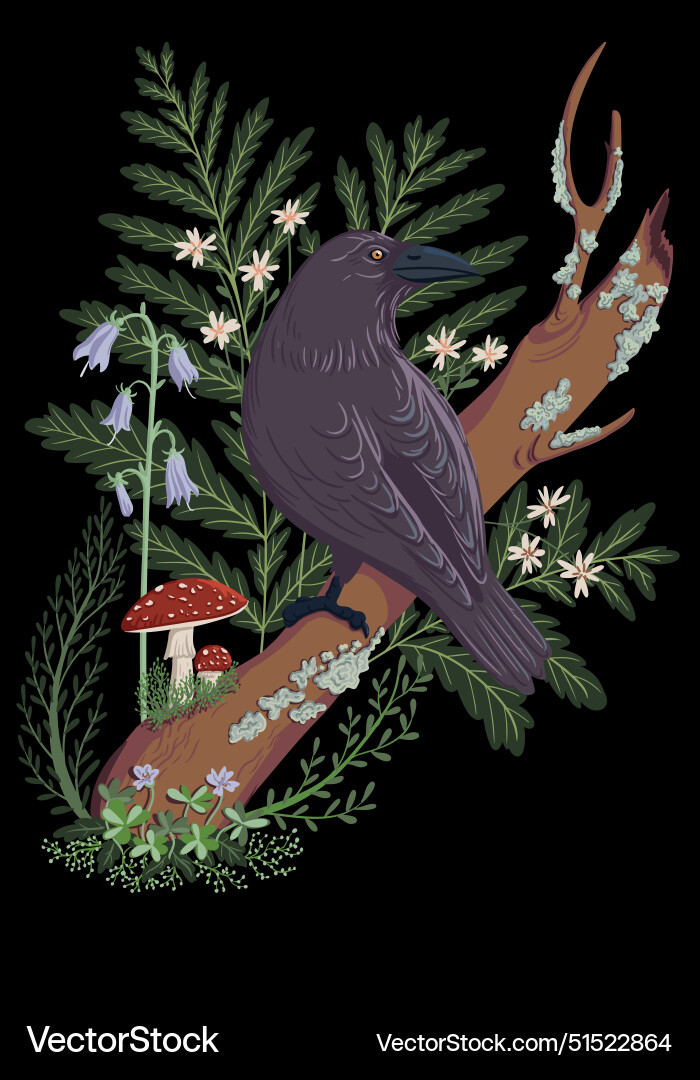 Raven bird flowers and mushrooms Royalty Free Vector Image