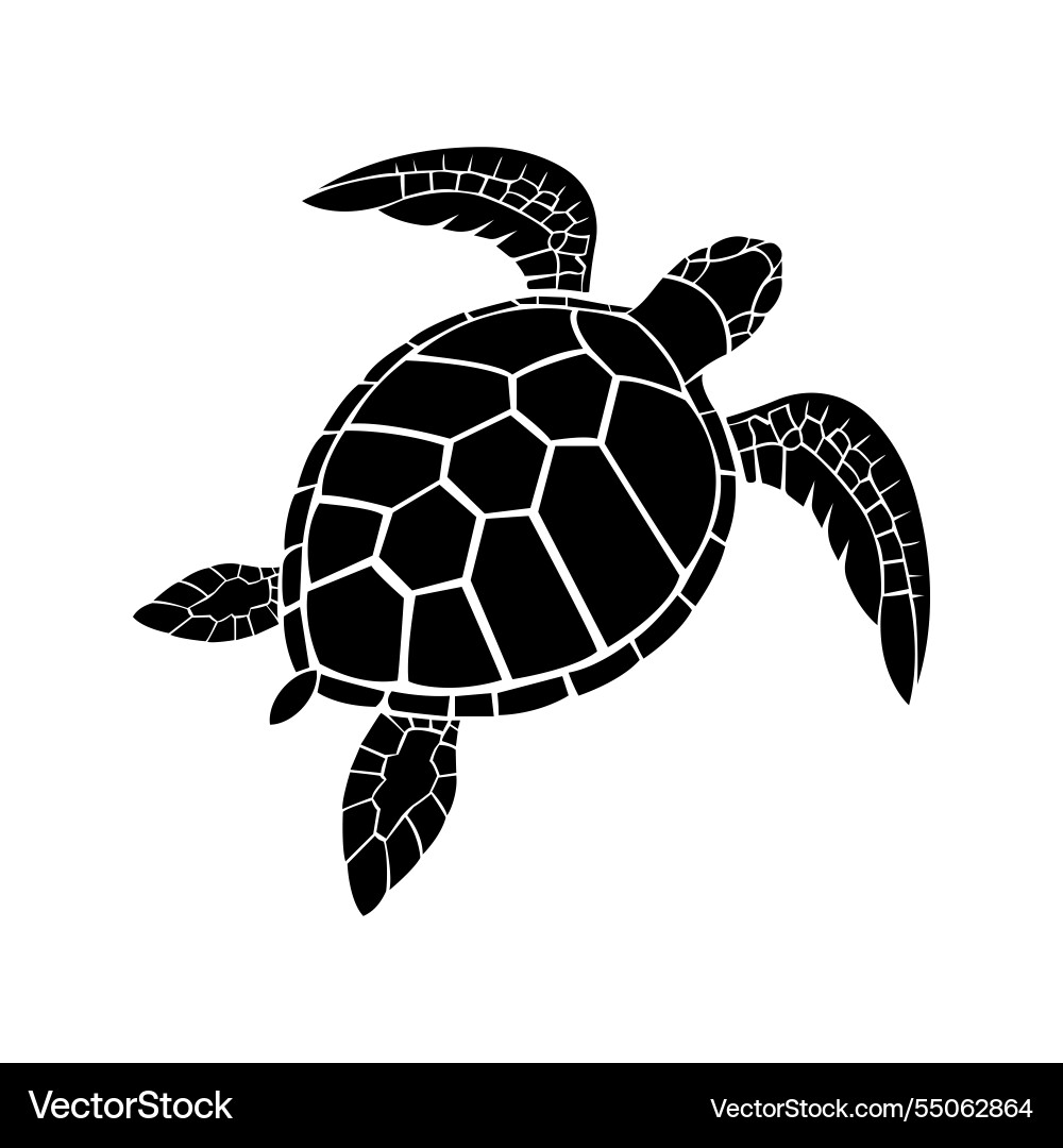 Tule tortoise 2 Royalty Free Vector Image - VectorStock