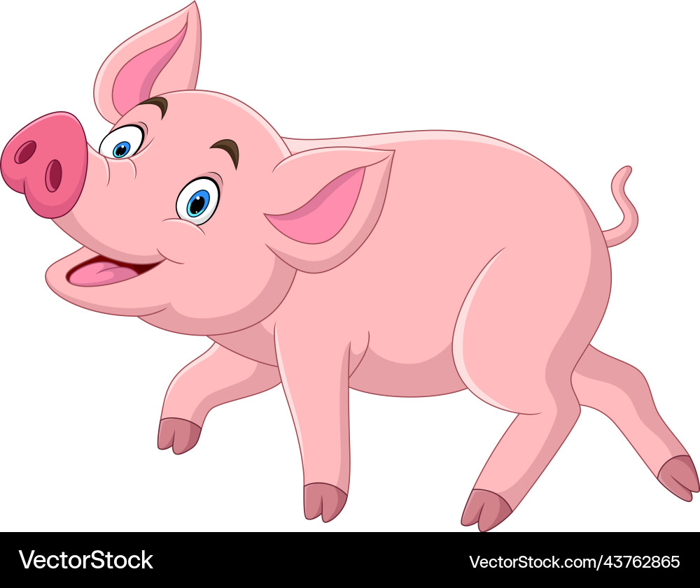Cartoon funny pig on white background Royalty Free Vector